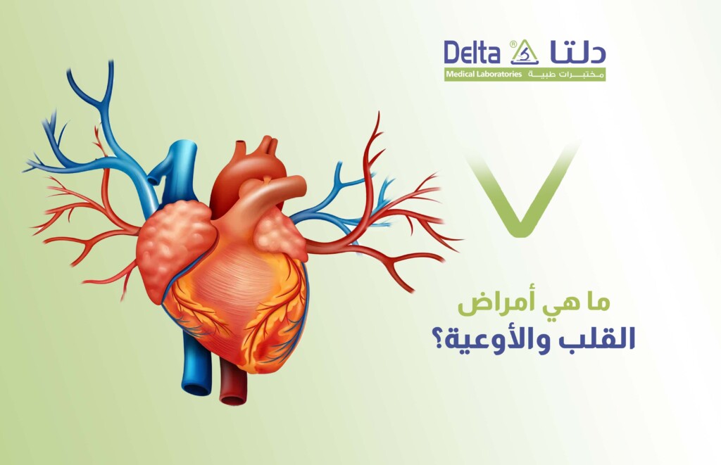 ما هي أمراض القلب والأوعية ؟ مختبرات دلتا الطبية