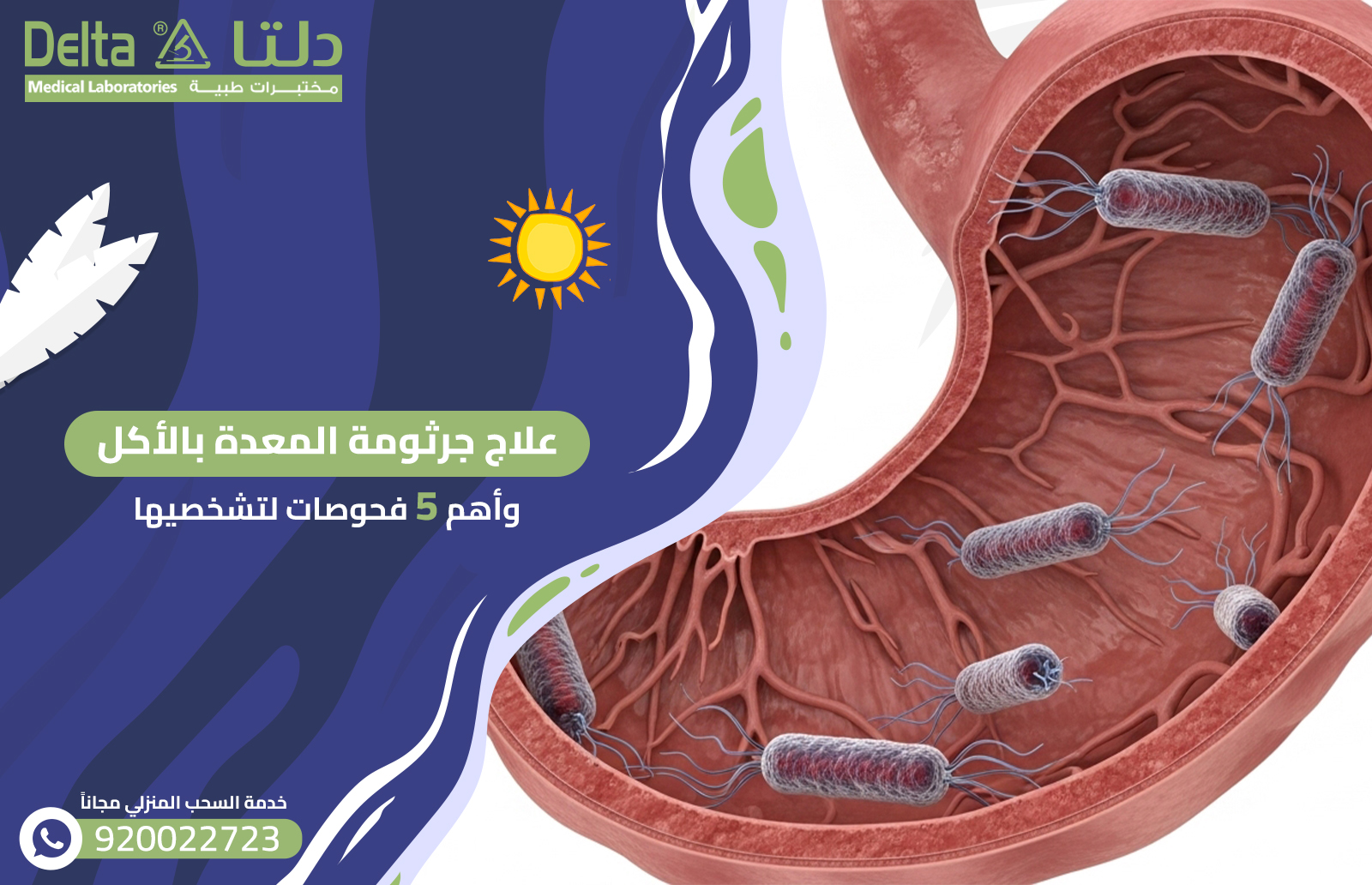 المضادات الحيوية ، دليل تعريفي شامل - مختبرات دلتا الطبية