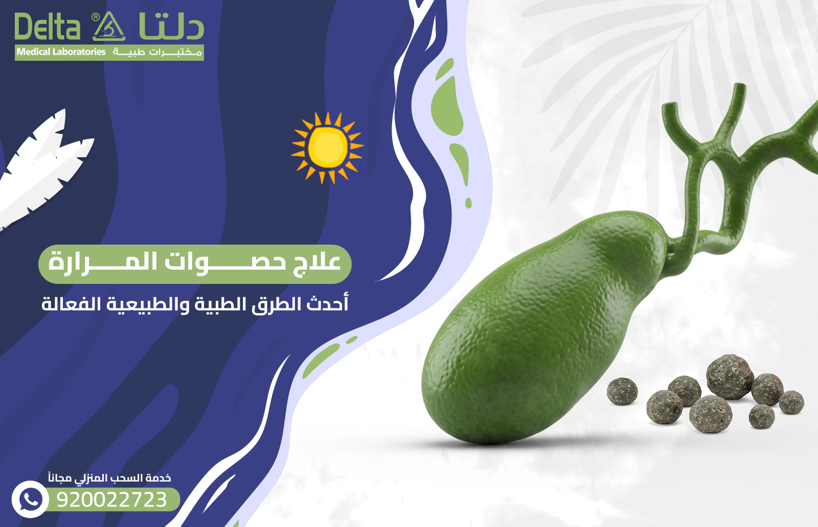 فيتامين ب 6 ، دليل تعريفي شامل - مختبرات دلتا الطبية